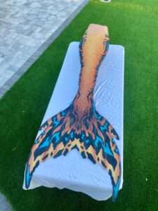 Mermaid Certification with SSI: Unleash Your Inner Child’s Bucket List