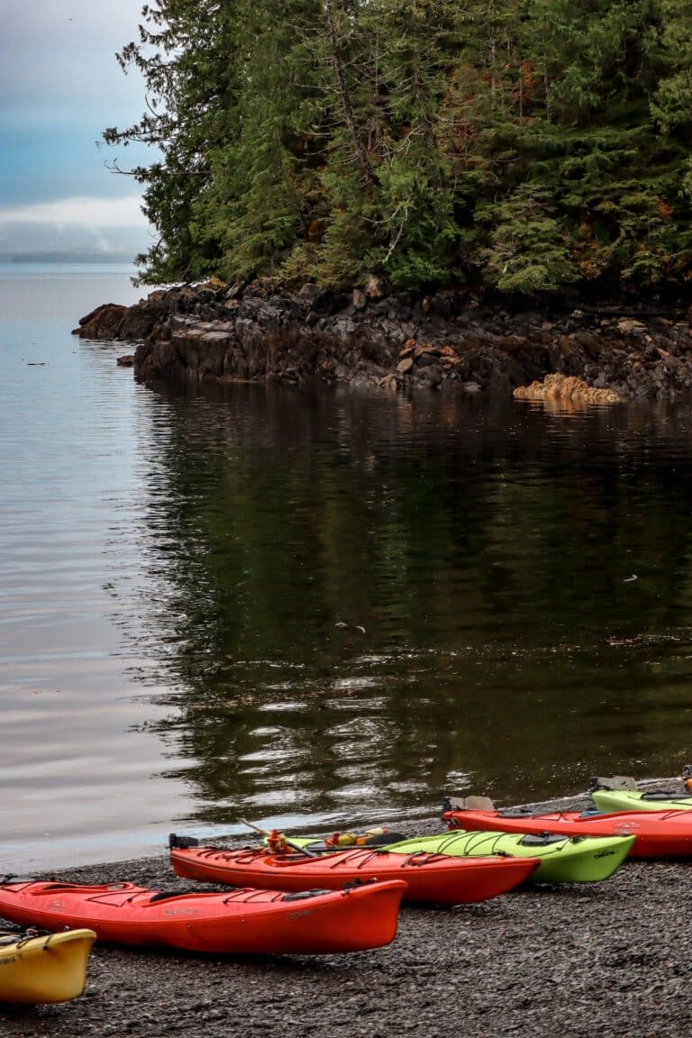 Kayaking in Ketchikan, Alaska - Review, Guide, and More!