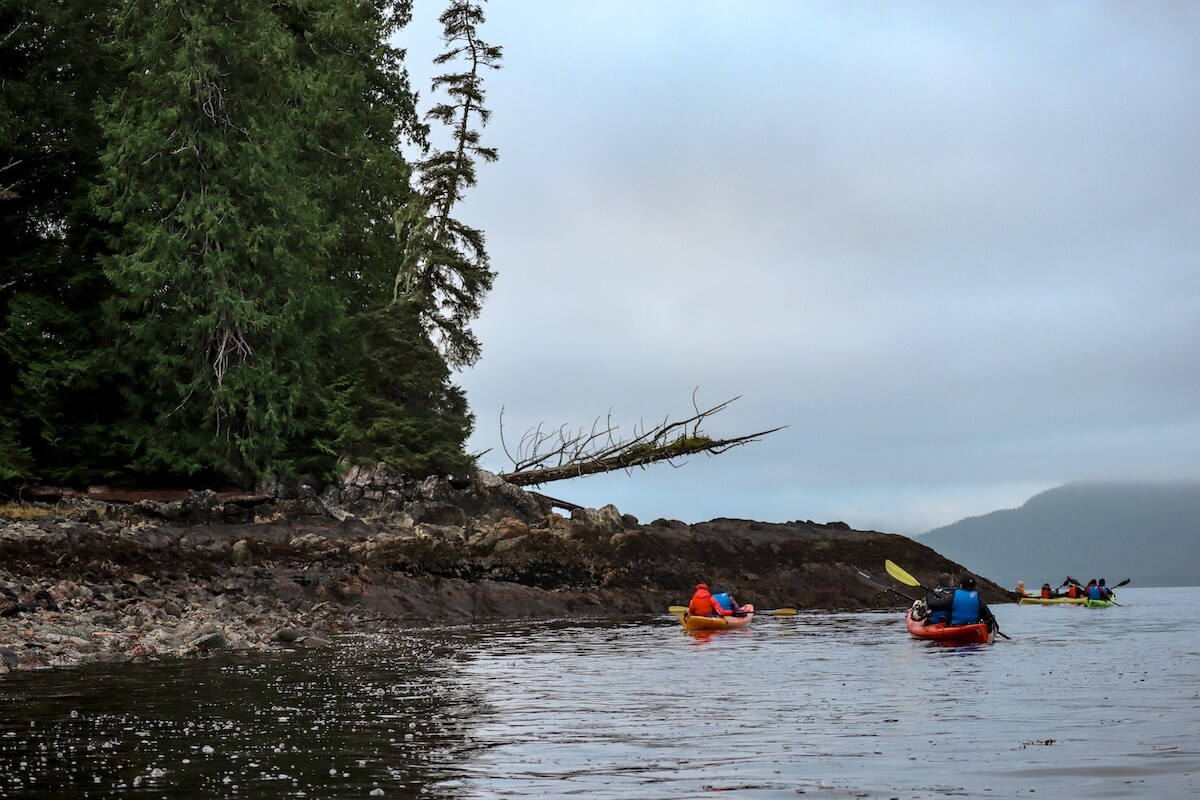 Kayaking in Ketchikan, Alaska - Review, Guide, and More!