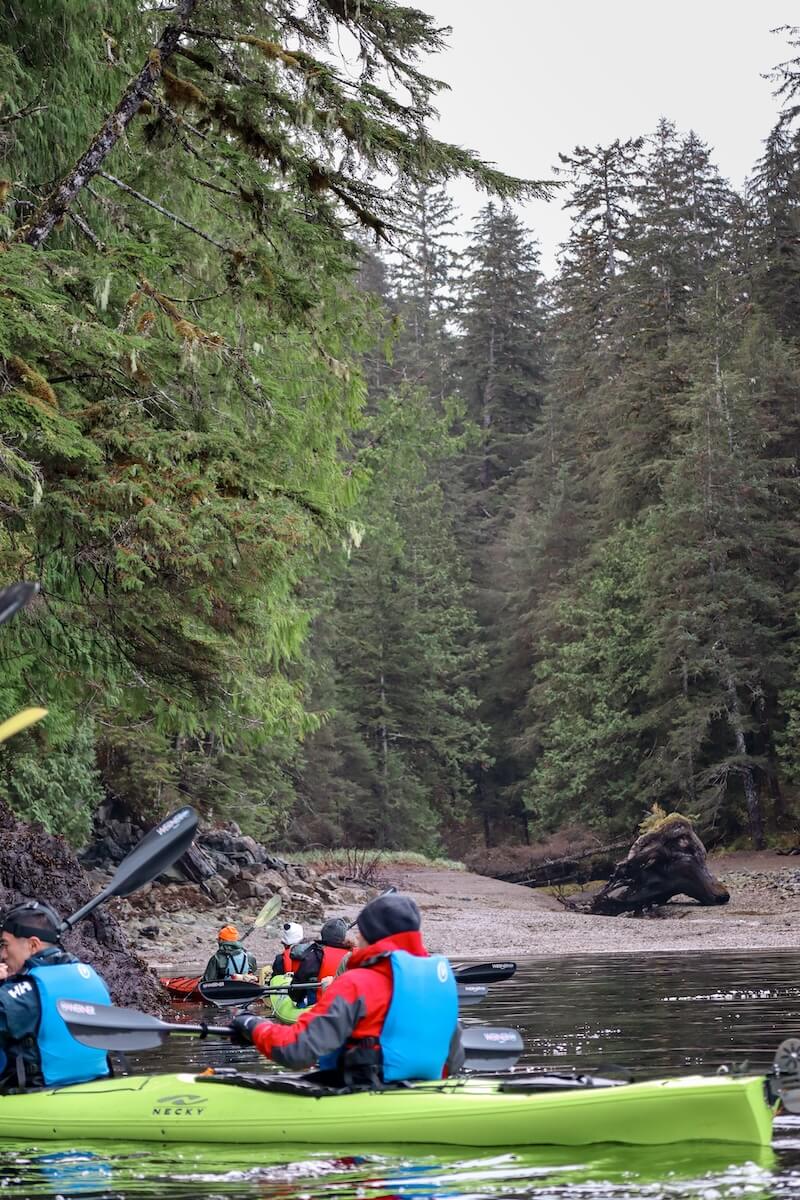 Kayaking in Ketchikan, Alaska - Review, Guide, and More!