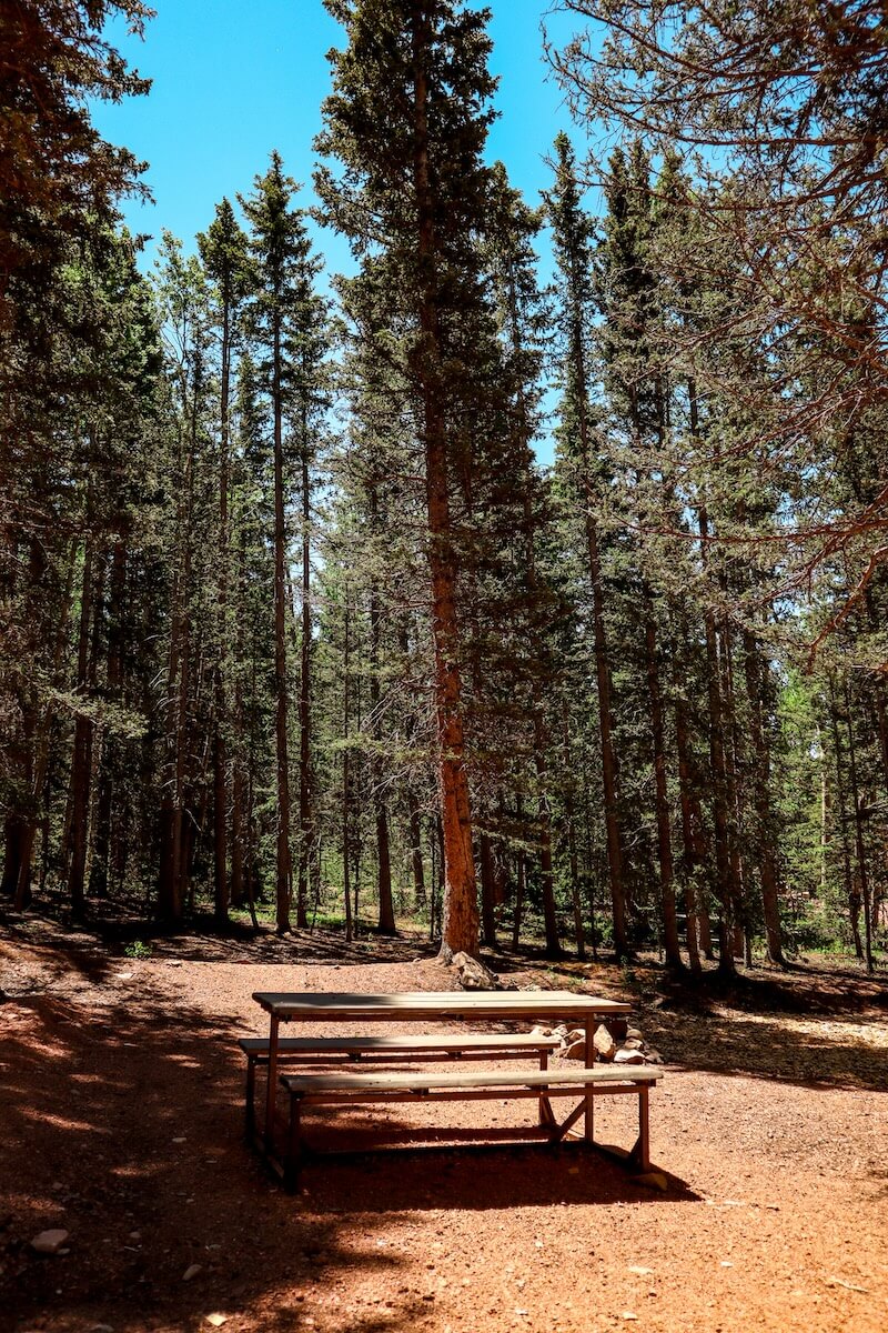 Rocking M Ranch Campground Review and Guide