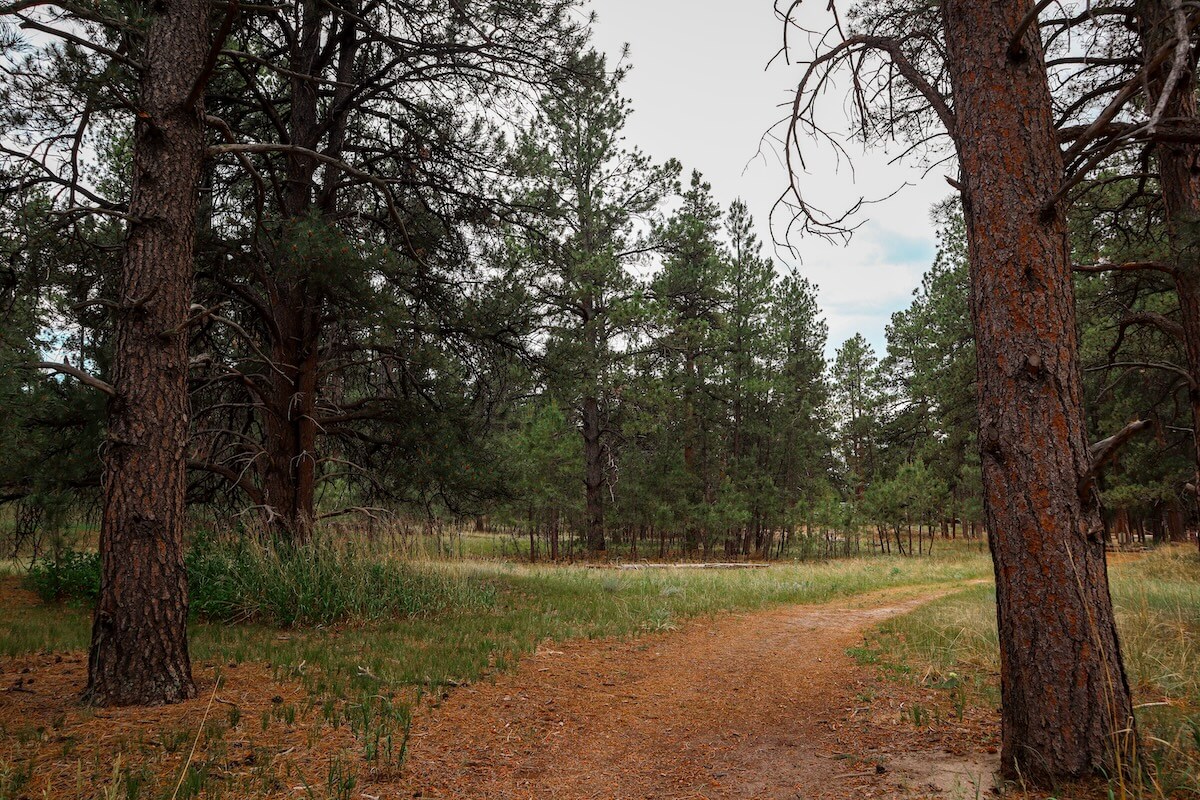 Casey’s RV Hideaway Colorado Review (Casey Jones Park)