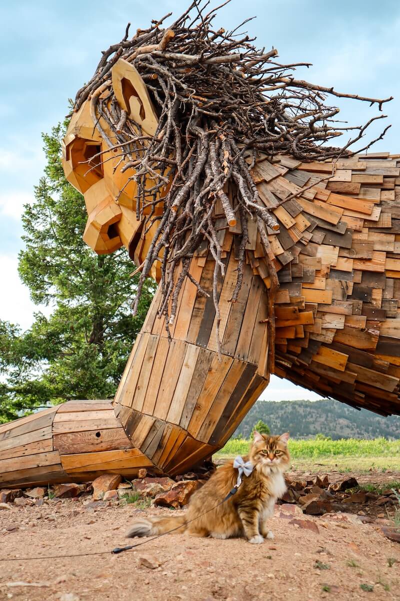 Rocking M Ranch Campground Review and Guide